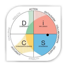 Everything DiSC - Ignite Coaching & Consulting